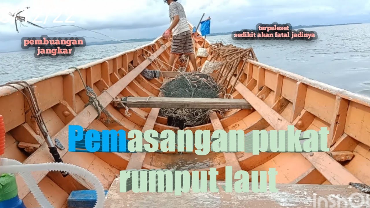 Cara pasang jaring rumput laut - YouTube