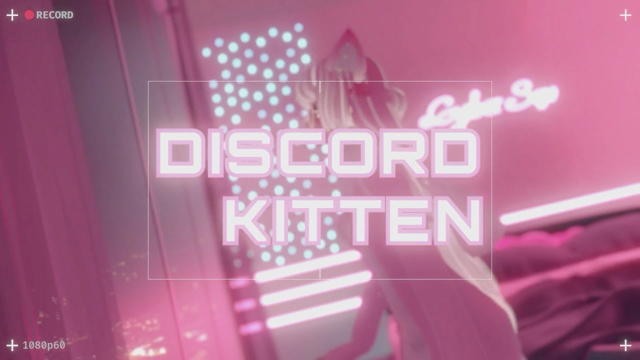 Discord Kitten by SpongeyBuns - YouTube