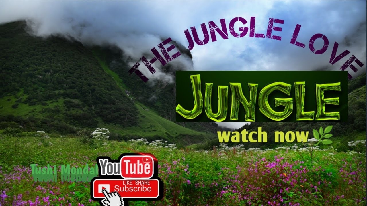 The Love of Jungle.🌿The Unconditional love of Jungle|| @TushiModicare ...