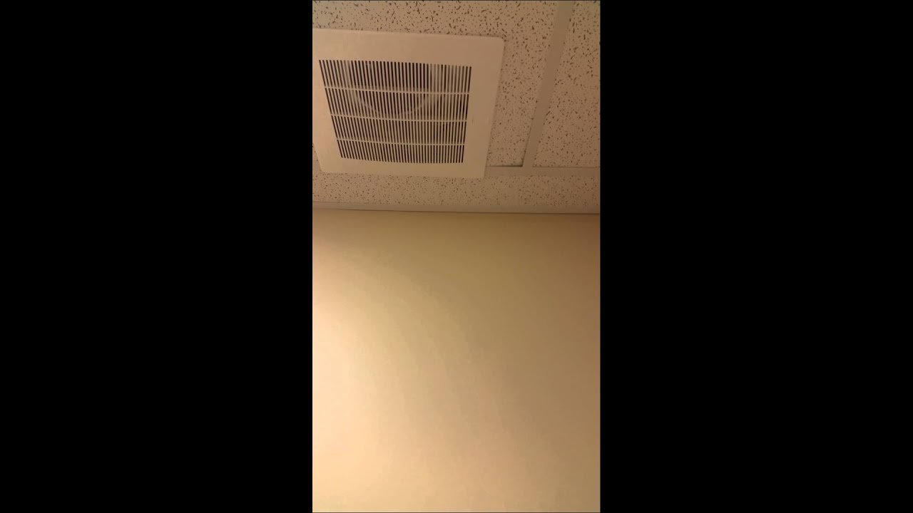 The Most Annoying Sound In The World YouTube the-most-annoying-sound-in-the-world-youtube
