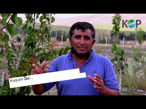 KOP KÖSİP-Kırşehir Karakaya Köyü_Bölüm1