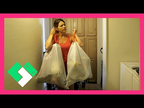 TIME TO CLEAN UP THIS DISASTER! (Day 1459) | Clintus.tv