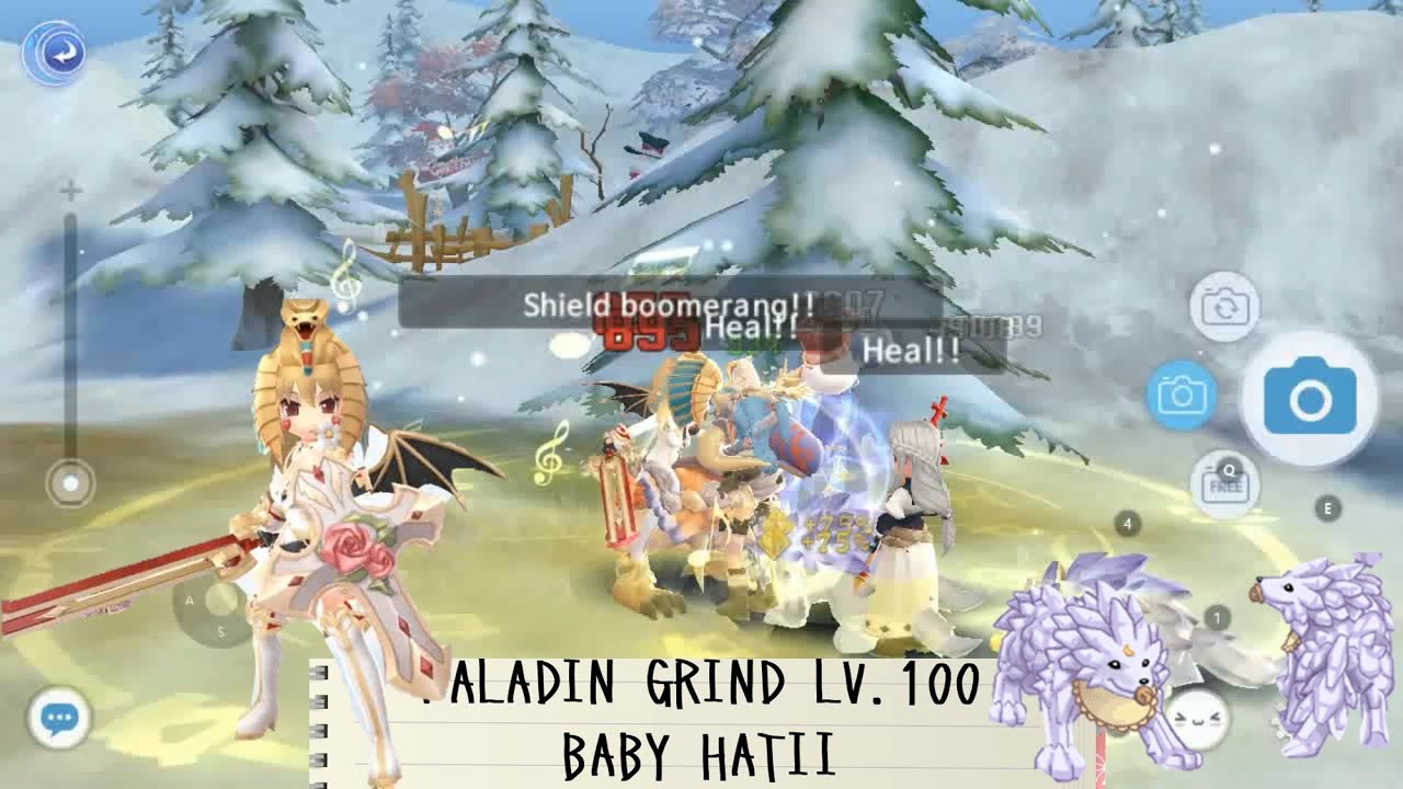 PALADIN GRIND LV. 100 6 SPOT BABY HATII SHIELD BOOM PART 141 ~ RAGNAROK ...