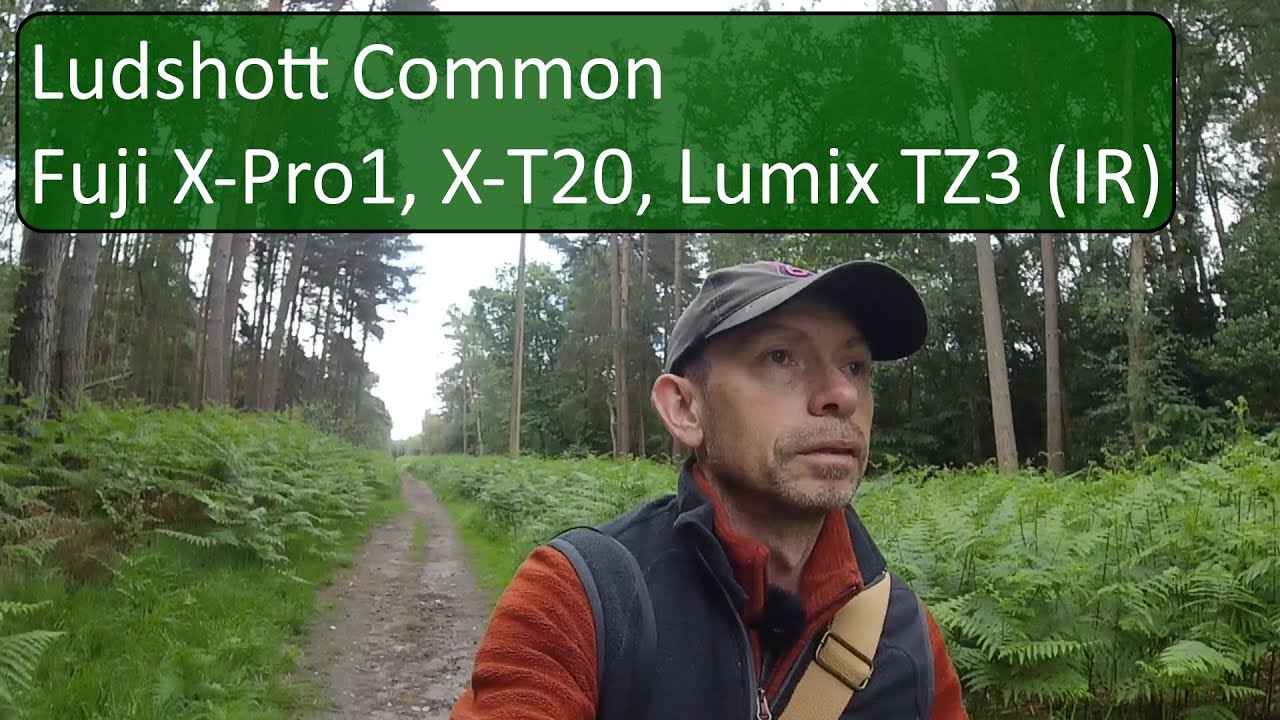 Ludshott Common Photography Walk 4 - Fuji X-Pro1, X-T20, Lumix TZ3 ...