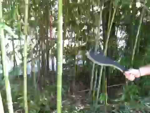 Cold steel kukri machete bamboo cut test