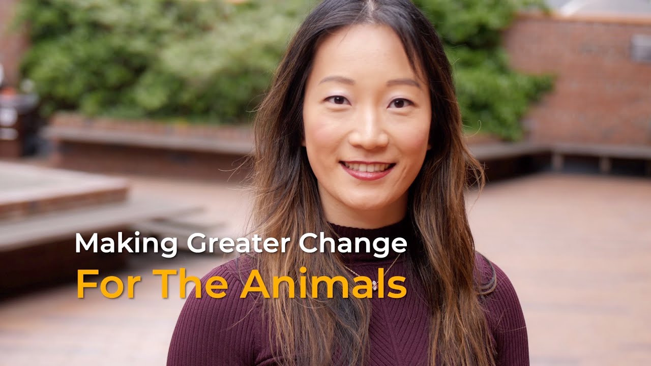 Making Greater Change #ForTheAnimals - YouTube
