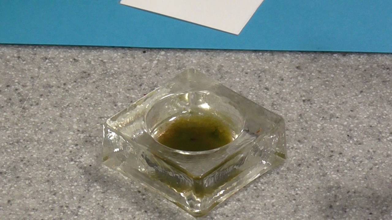 Plant pigment chromatography (Required Practical 7) - YouTube