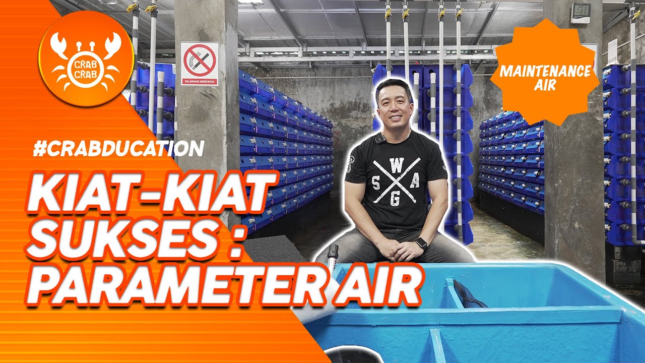 KIAT-KIAT SUKSES : PARAMETER AIR!! MAINTENANCE AIR UNTUK KEPITING | # ...