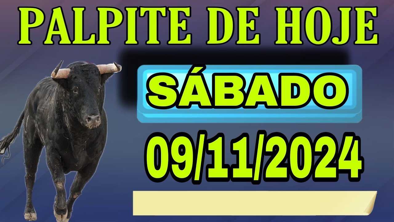 PALPITE DO NETO 09/11/2024 - YouTube