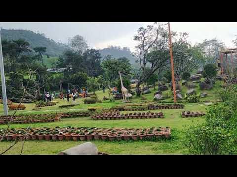 Hydel Park Munnar Kerala - YouTube