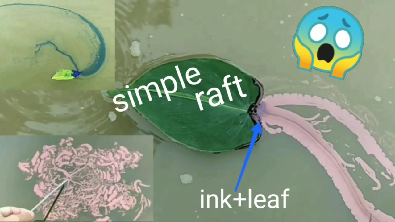 #leafboat Ink+leaf in water is that works? What happend next?? - YouTube