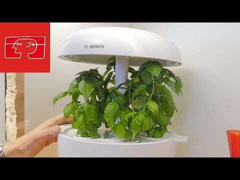 Grün, grüner, Bosch Grow: Pflanzenpflege auf der IFA!