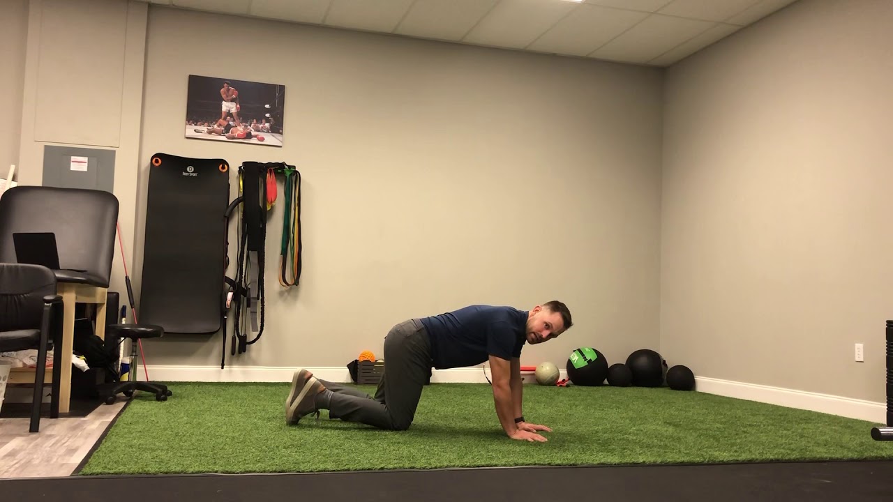 Closed Chain Shoulder Stability - YouTube