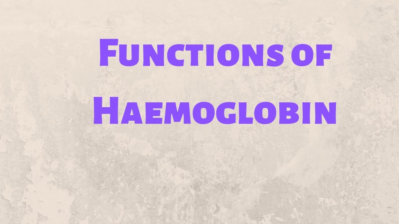 functions of haemoglobin/ physiologic role of different types or forms ...
