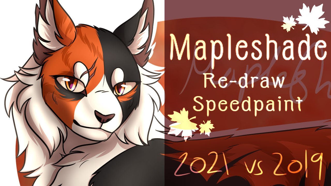 Mapleshade Re-draw || Speedpaint || 2021 vs 2019 || Warriorcats - YouTube