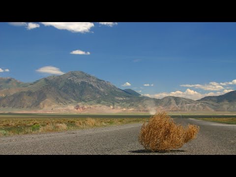 Tumbleweeds or Sound Doctrine - YouTube