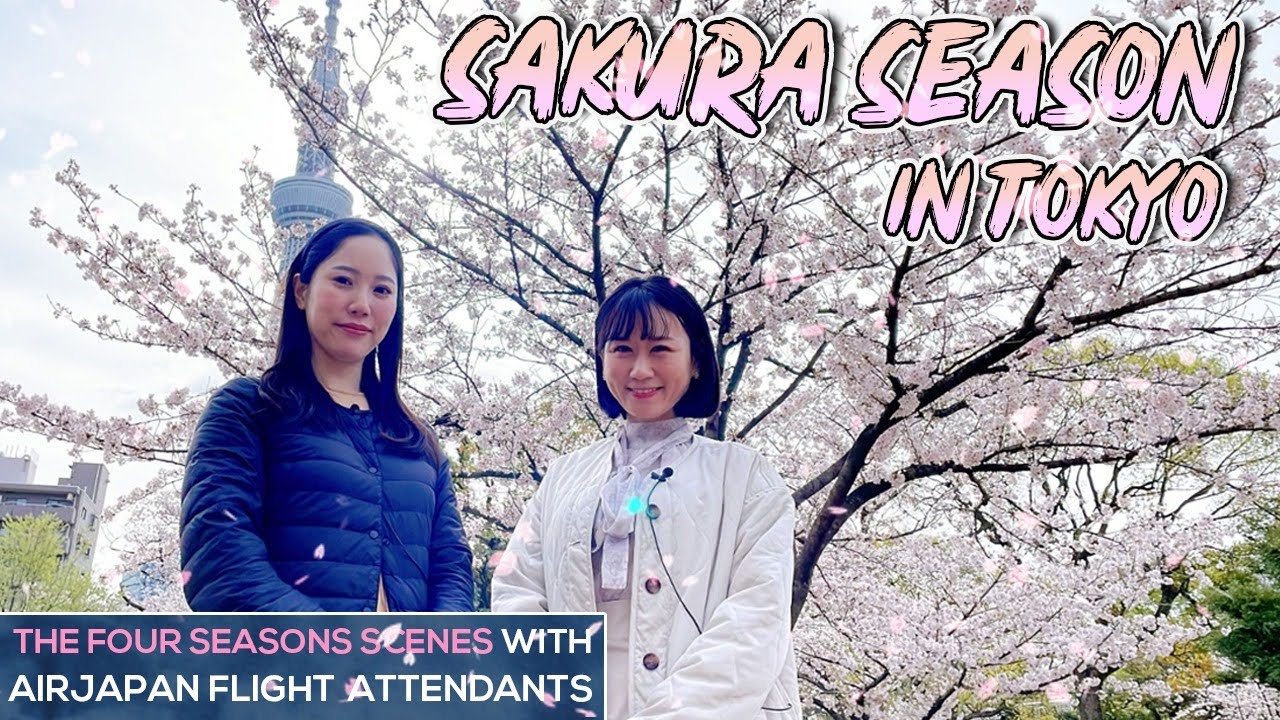 SAKURA SEASON in TOKYO!!【The Four Seasons Scenes】 - YouTube