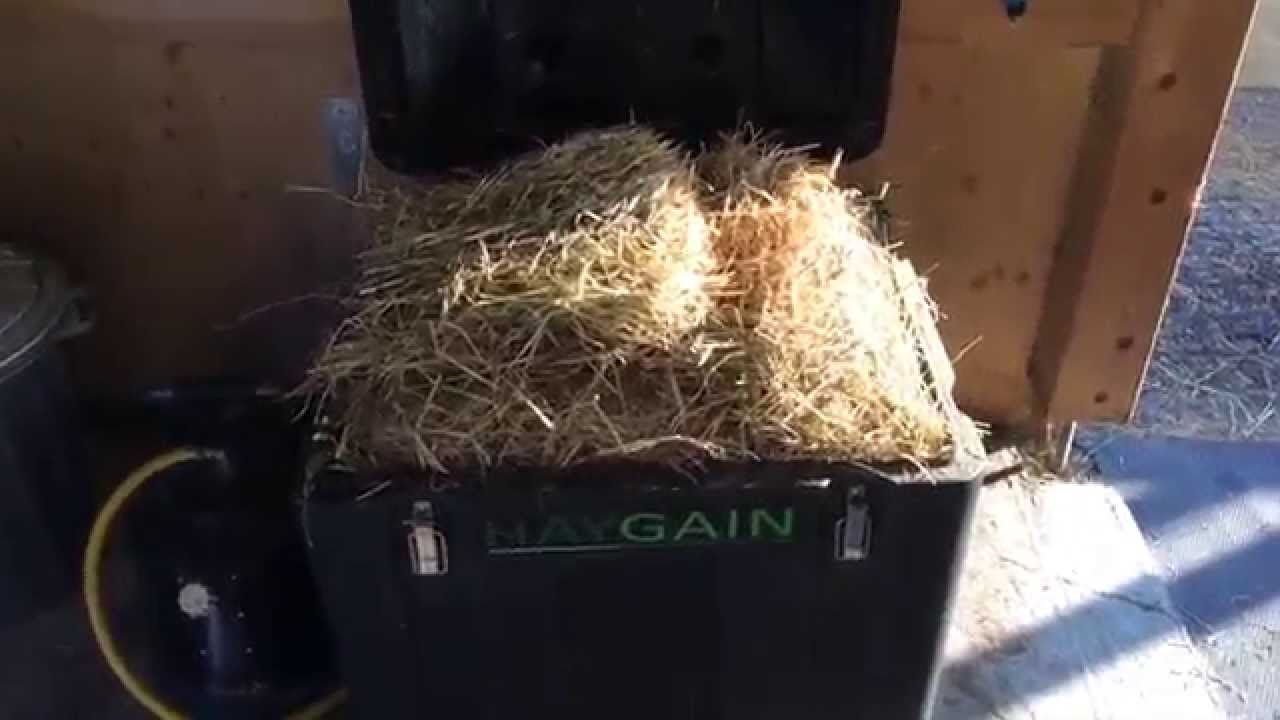 My 5 Year Old Haygain HG600 Hay Steamer / Purificateur de foin ...