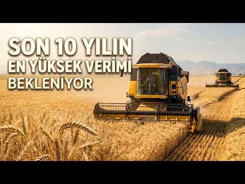 Konya Ovasında rekor beklenen hasat sezonu başladı!