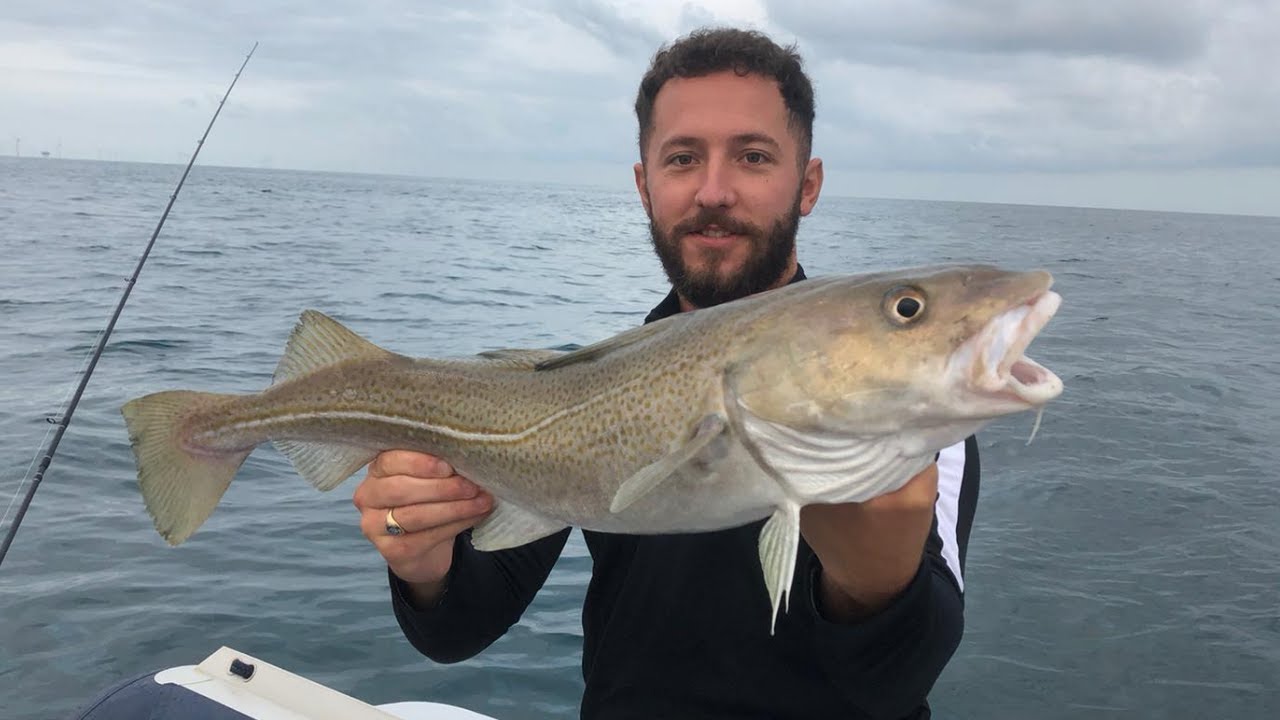 DELICIOUS COD CATCH AND COOK | INFLATABLE BOAT FISHING | SEA FISHING ...