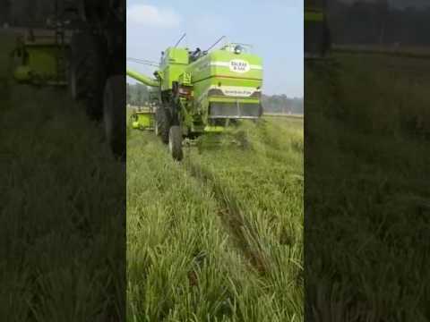 super straw management system - YouTube