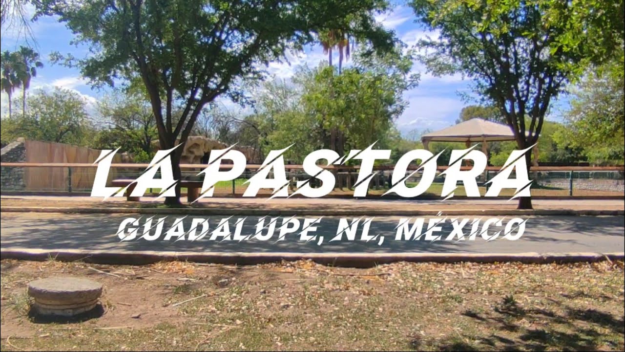 LA PASTORA- zoológico en Monterrey - YouTube