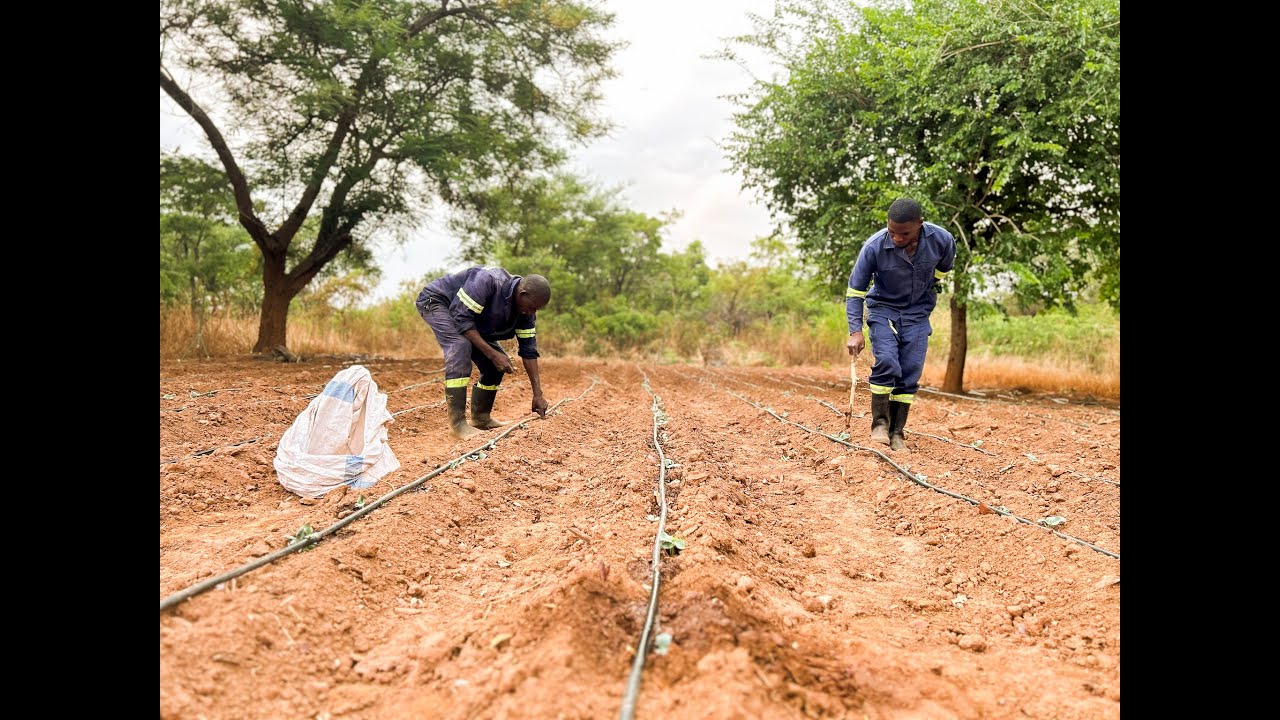 Agricultural Program | Mothers Without Borders - YouTube