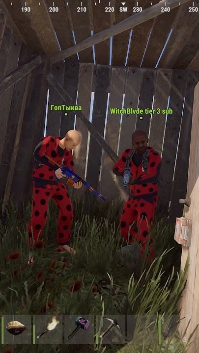 Встретил леди ladybug в rust #ladybug #rust #ледибагисуперкот #дбд #раст - YouTube