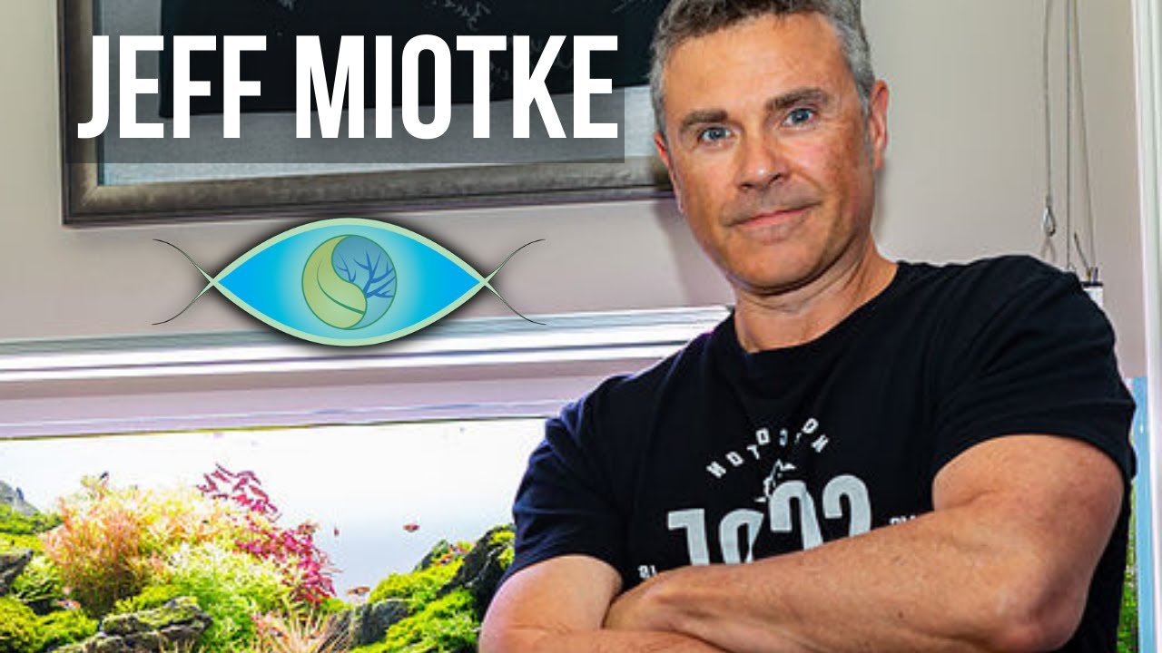 Tips & Tricks Unknown for Aquascaping - Jeff Miotke - YouTube