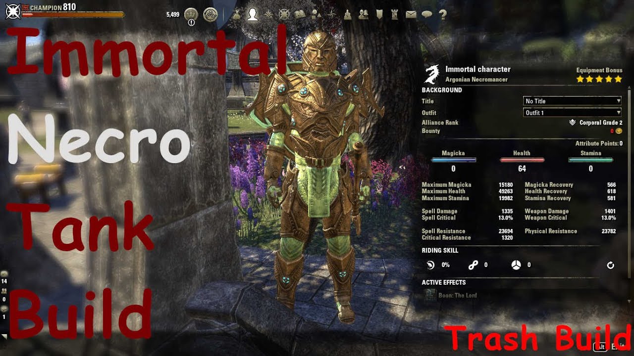 ESO:Immortal Necro Tank Trash Build - YouTube