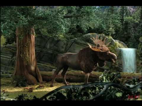 Camp Lazlo Promo Bear 2005 - YouTube