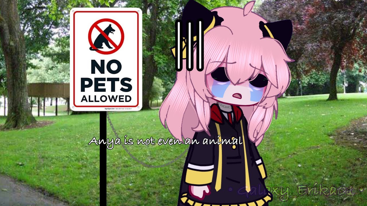 No Pets Allowed | Meme / Trend | Inspired | Ft. Anya | Not Og ...