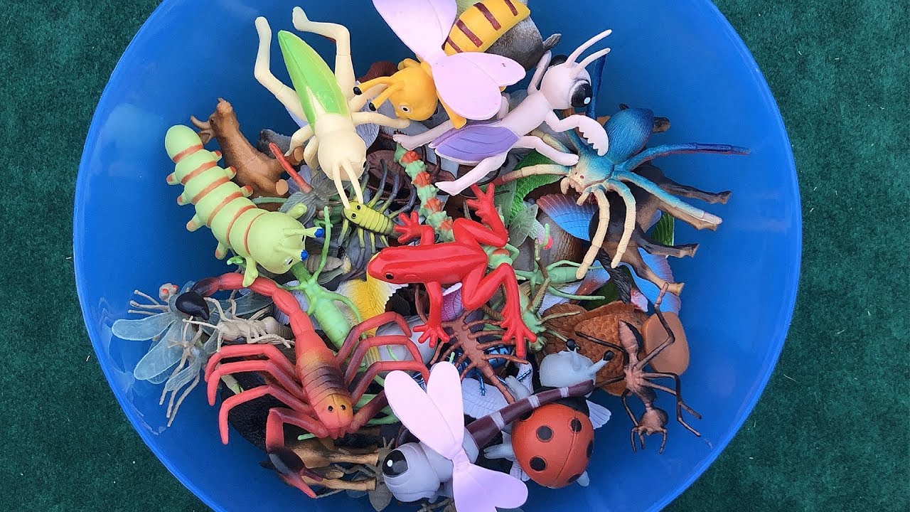 Insects and Bug Names Learning for Kids Box Full of Toys Beat - YouTube
