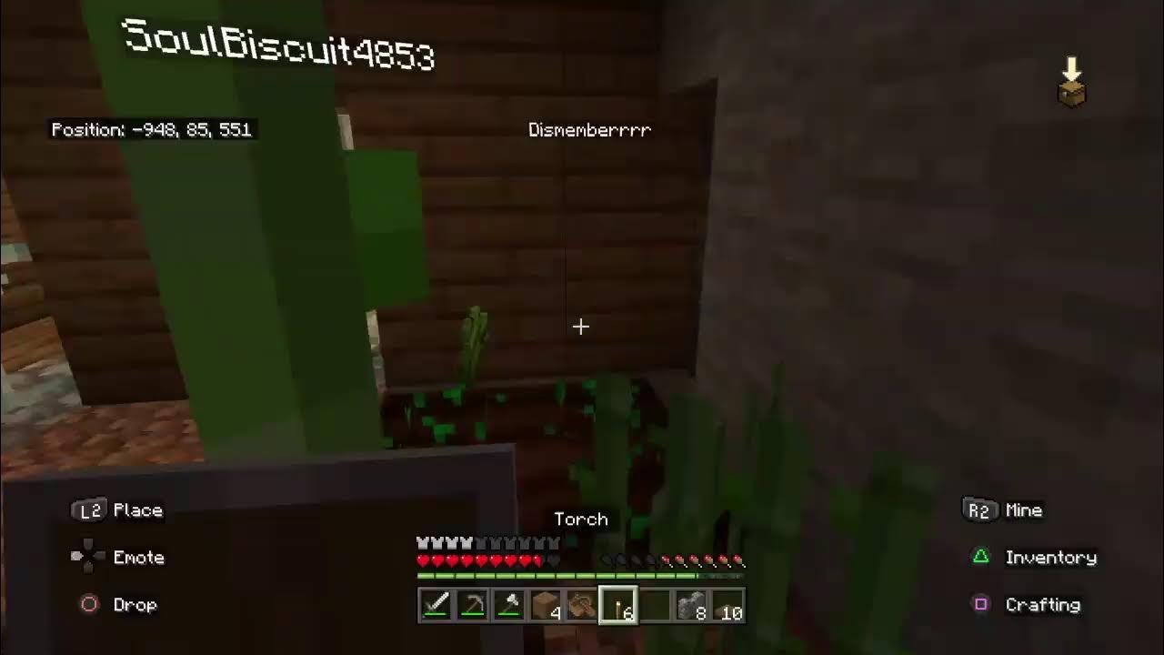 Minecraft controlled by my viewers part 4.2 - YouTube