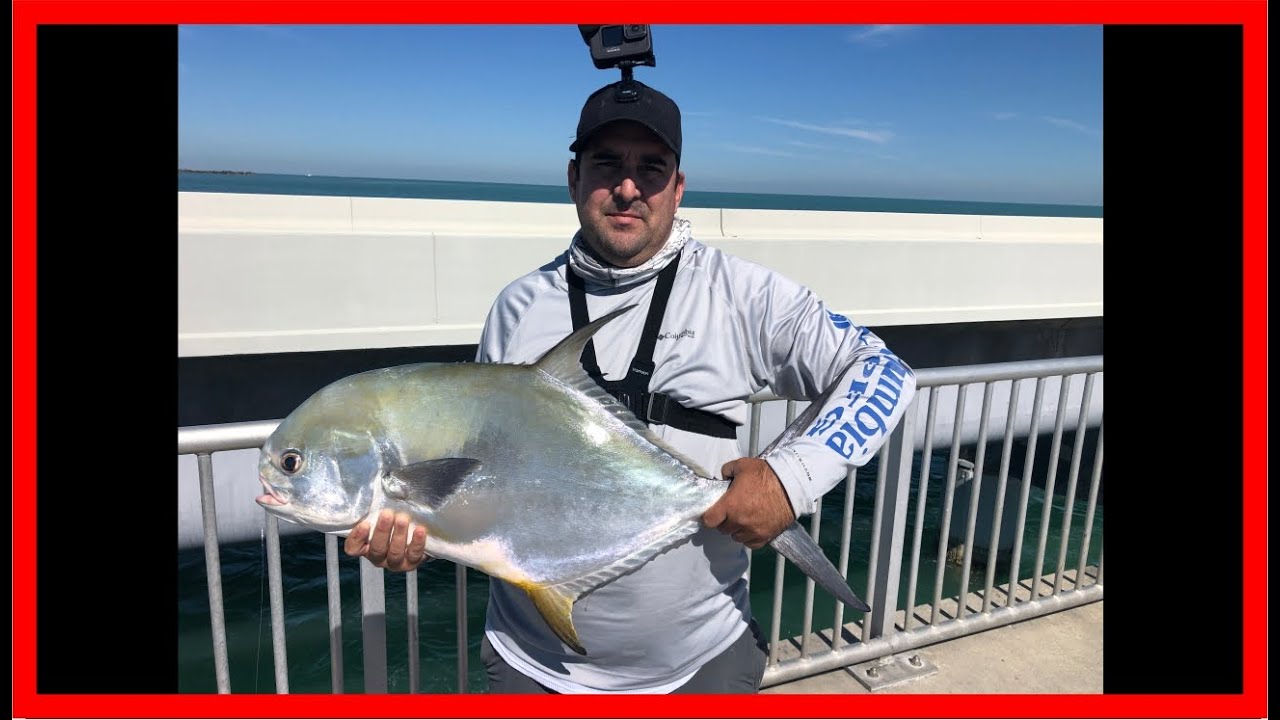 Palometa de Florida: ¡La mejor aventura de pesca! - YouTube