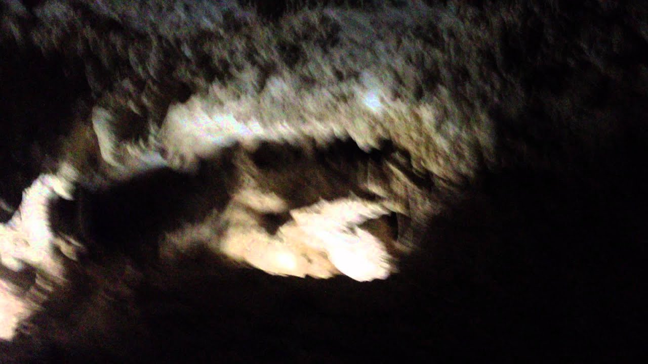 Rave party in Cenote Tulum - YouTube