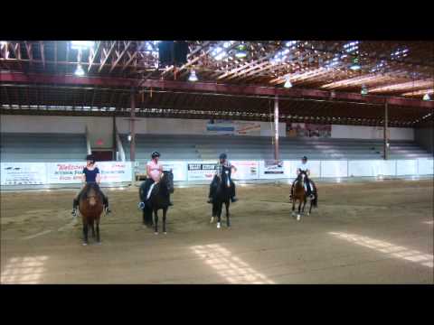 2014 Gaited Horse Show - YouTube