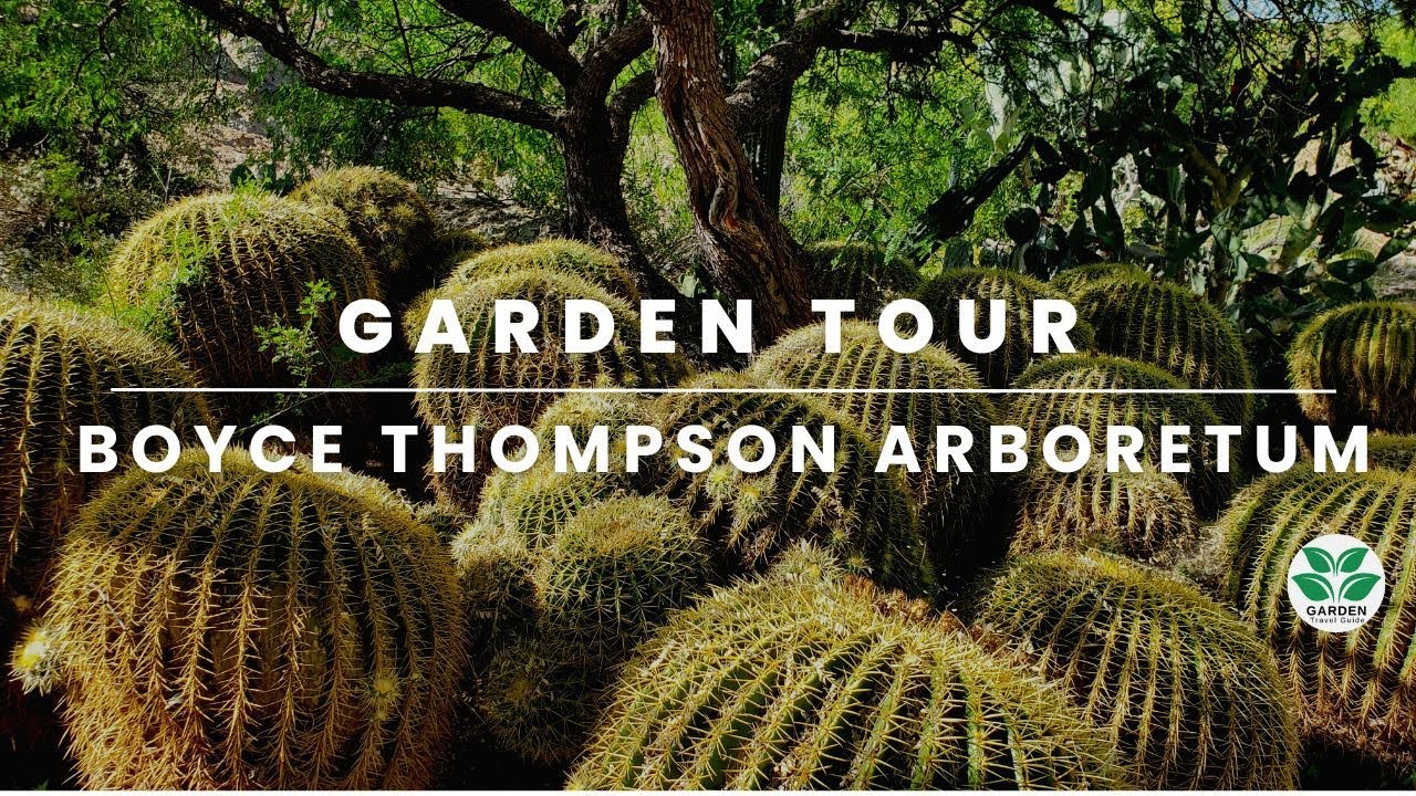 Exploring Arizona's Oldest and Largest Botanical Garden: Boyce Thompson ...