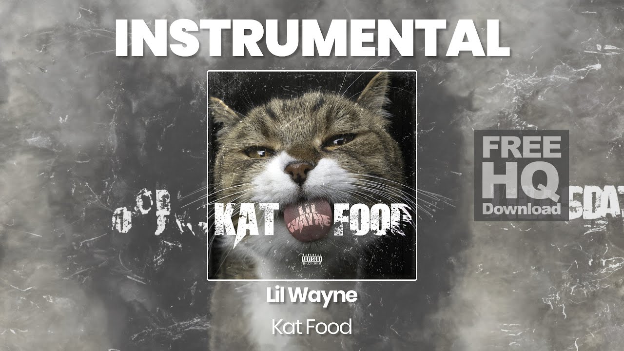 RAP INSTRUMENTAL BEAT : Kat Food - Lil Wayne (HQ) - YouTube