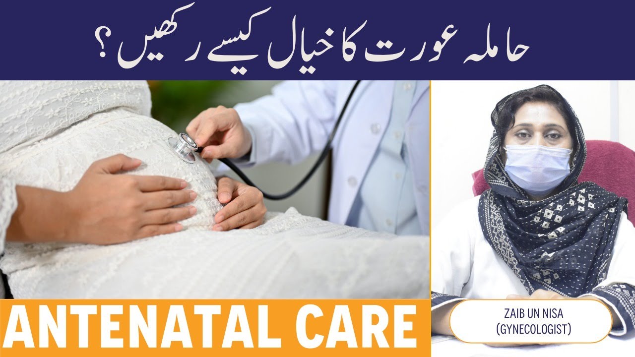 Antenatal Care - Pregnancy Care - Healthy Pregnancy Tips - Diet, Check ...