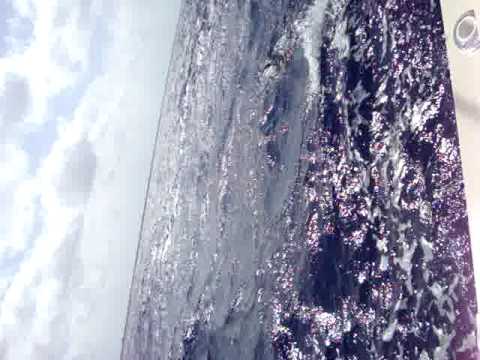 Deep Sea Fishing In Cozumel, Mexico :) - YouTube