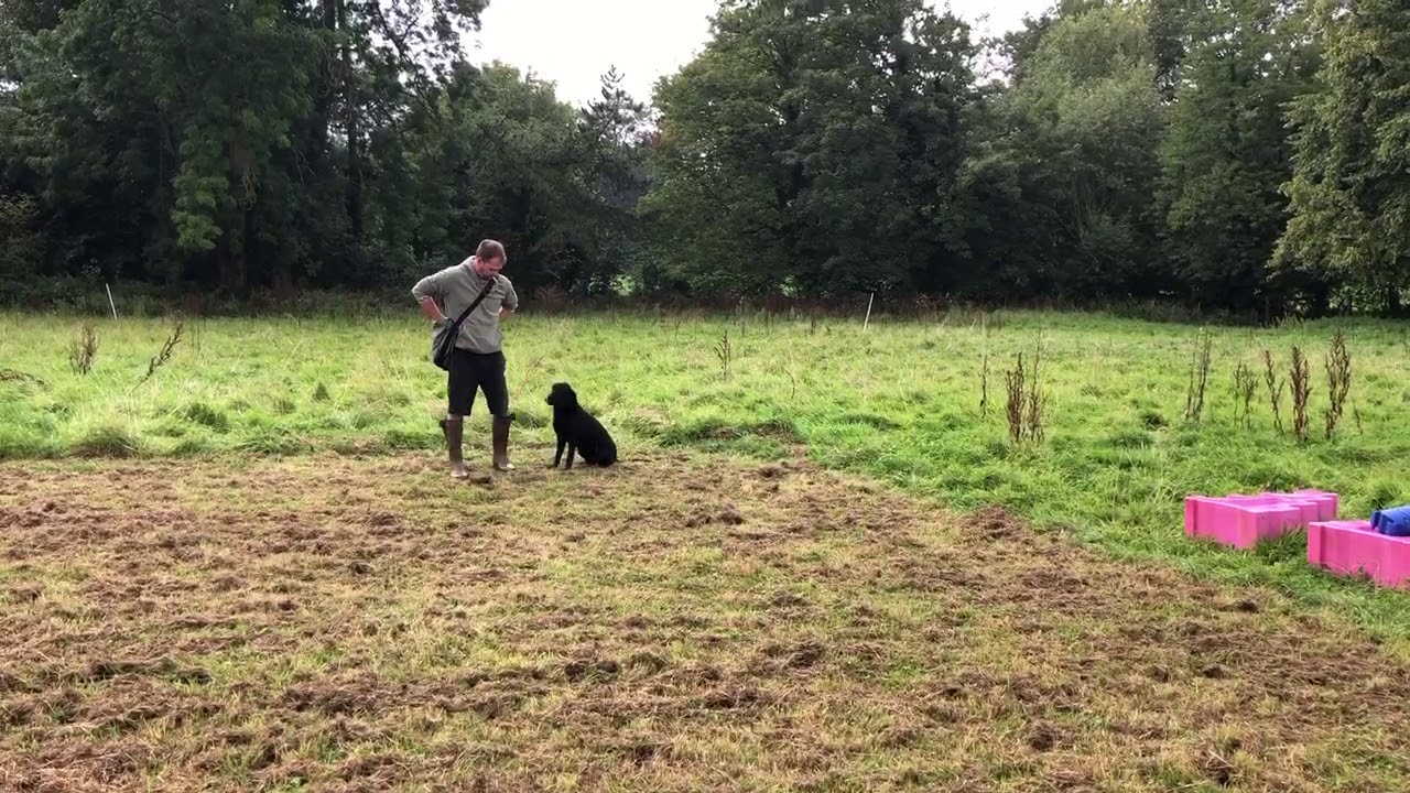 Treacle - starting to understand part 2. - YouTube