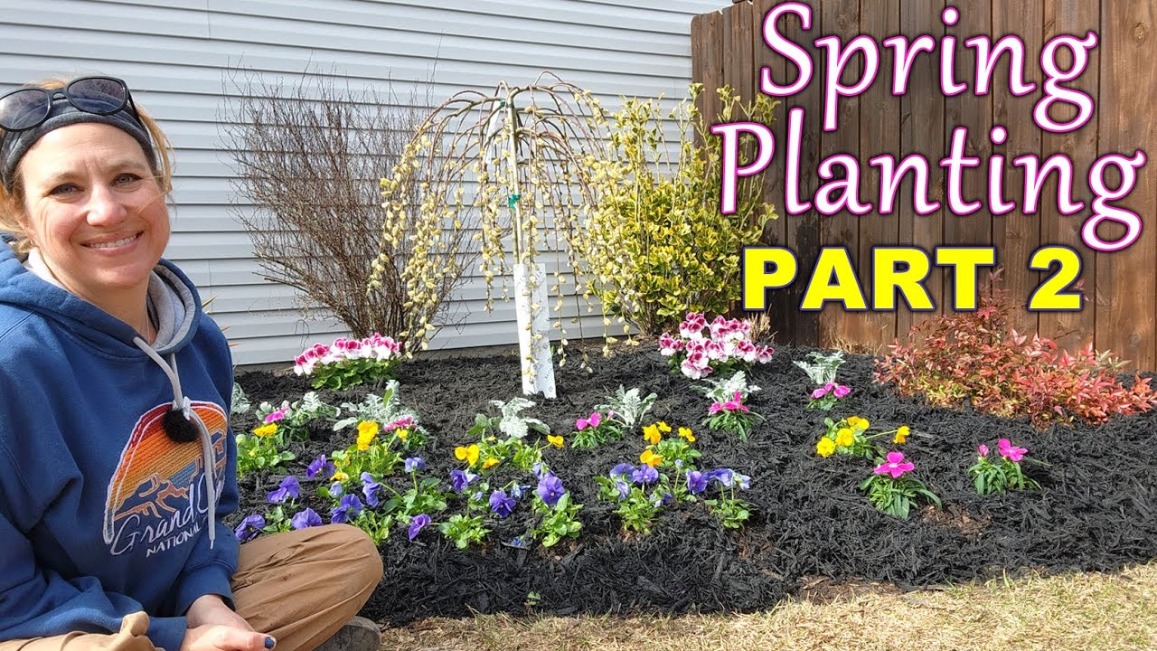 Early Spring Planting Continues in My Carolina Garden - YouTube