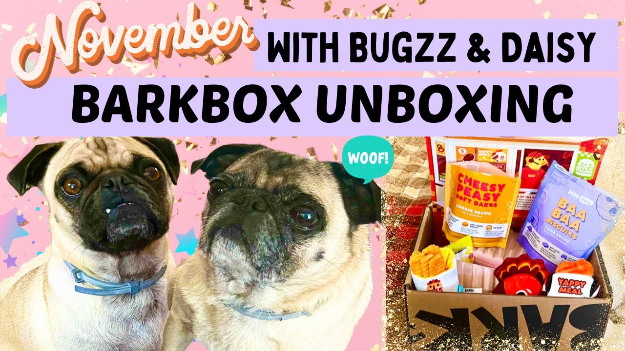 🐶🍂 NOVEMBER BARKBOX UNBOXING with BUGZZ & DAISY🍁 🐶 - YouTube