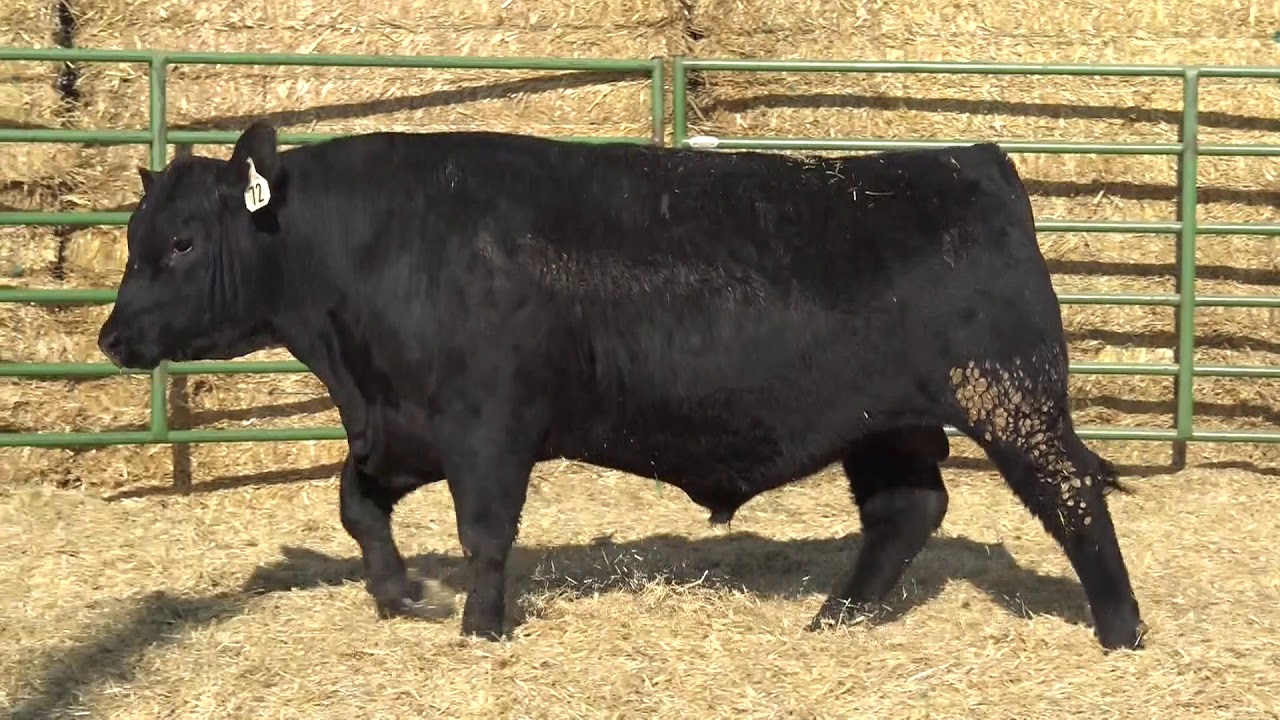 Lot 72 YouTube lot-72-youtube