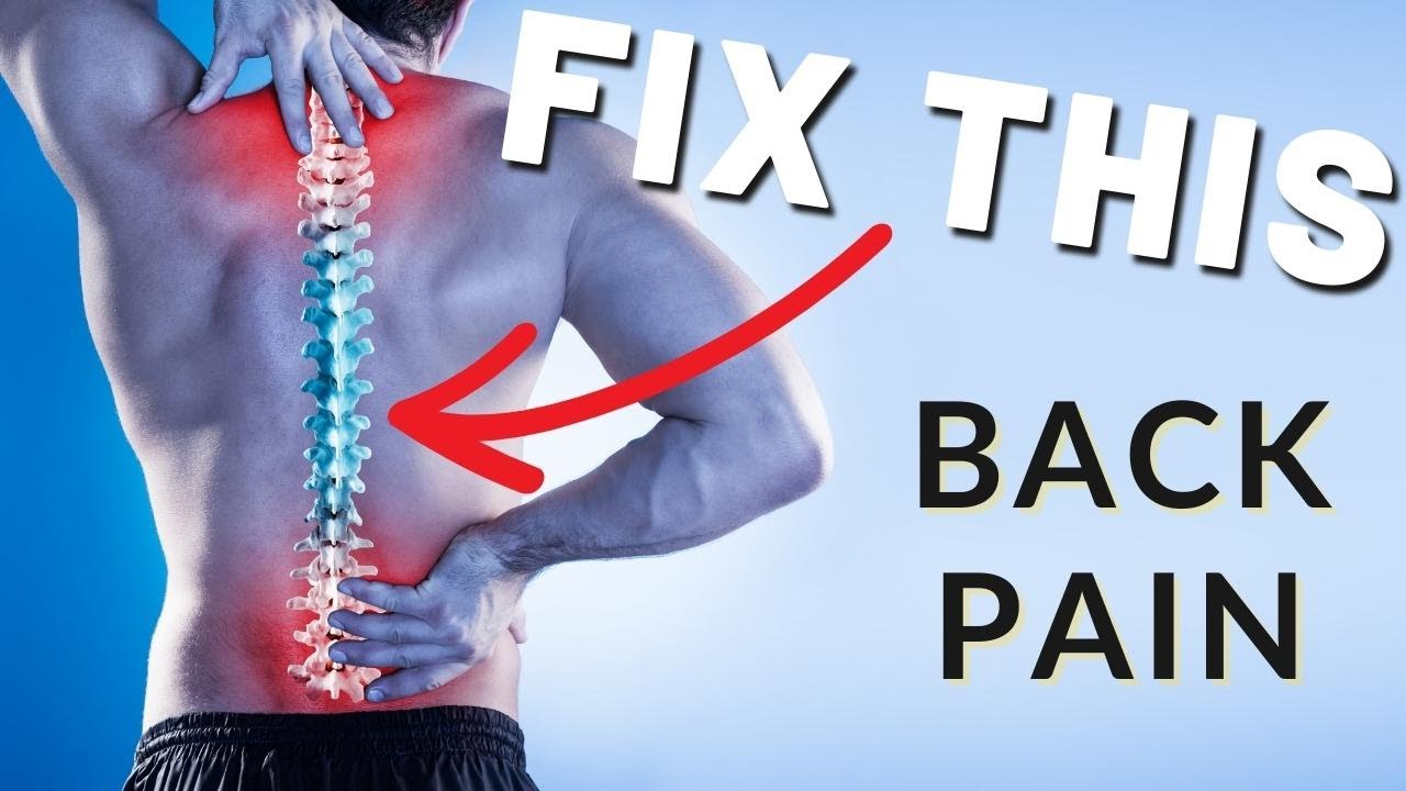 John Sarno - Healing Back Pain (NO SURGERY!) | Low Back Pain, Bulging ...