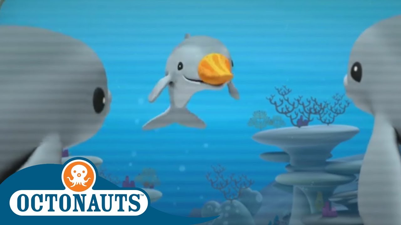Octonauts - Dolphin's New Nose | Songs of the Deep | Cartoons for Kids ...