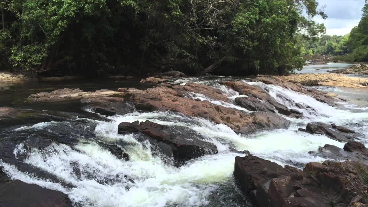 Kampung Peta Taman Negara Rompin - YouTube