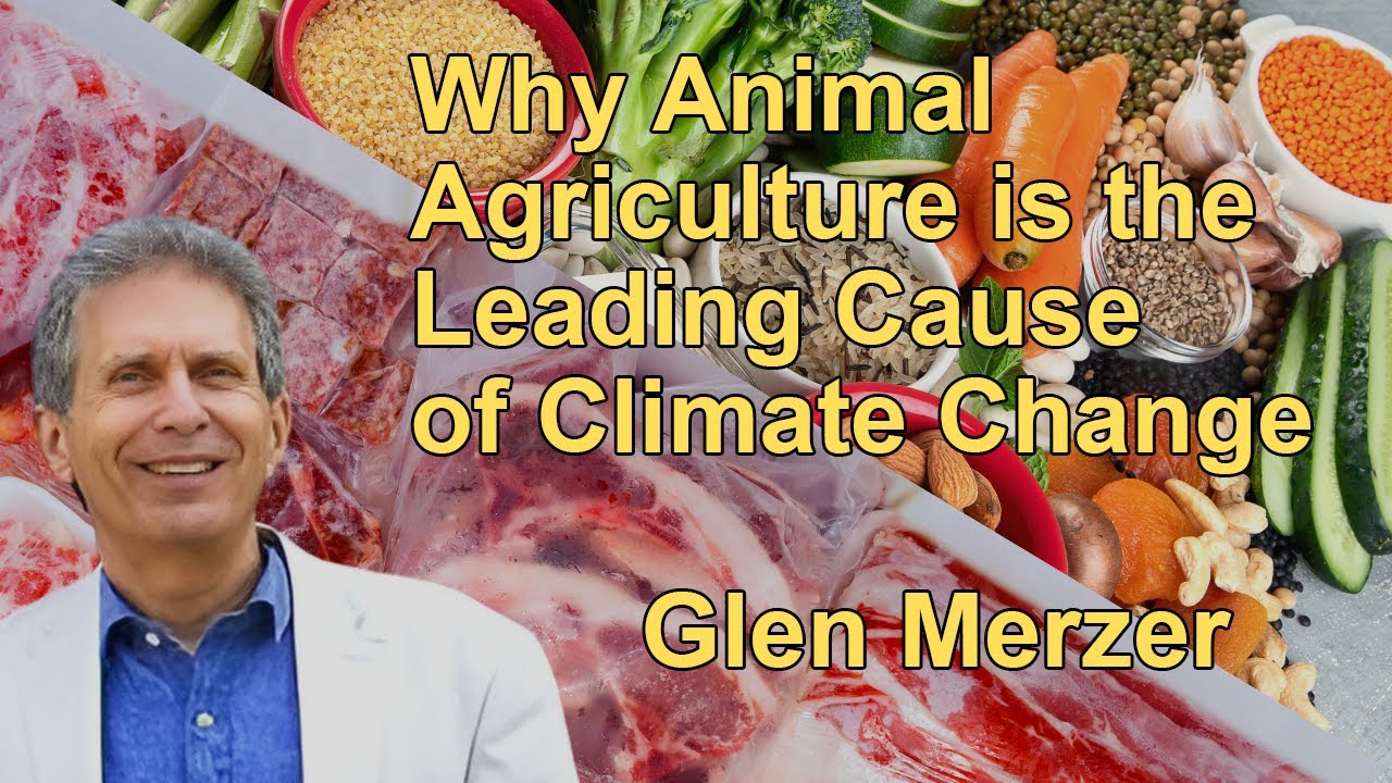 Why Animal Agriculture is the Leading Cause of Climate Change with Glen ...