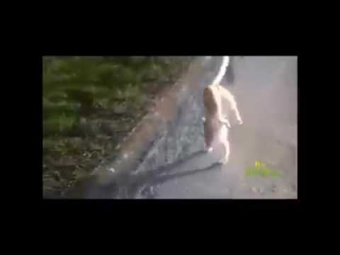 iftara 1 saat kala temsili ;)